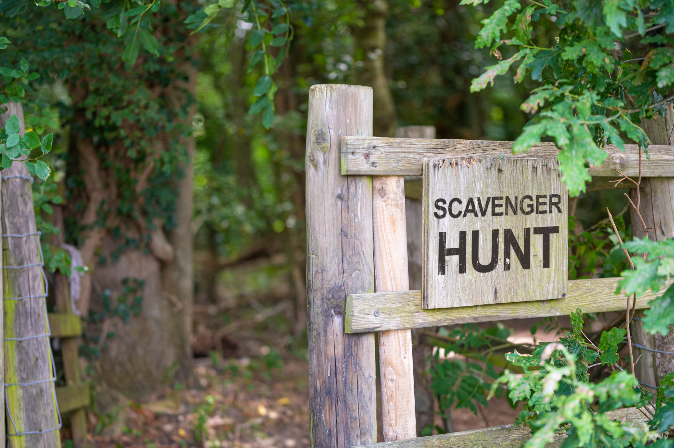 Scavenger Hunt - Excelled Montessori Plus