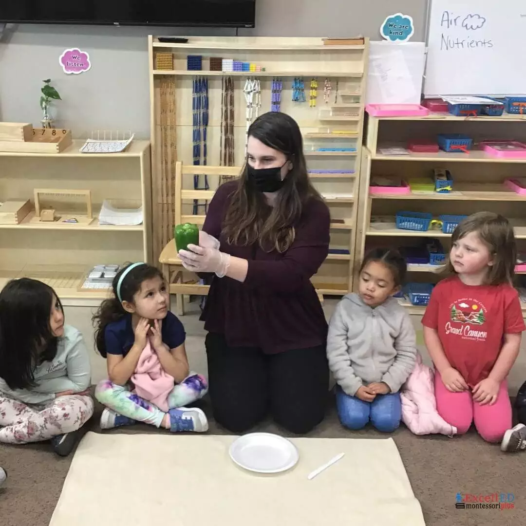 Employment Application - Excelled Montessori Plus