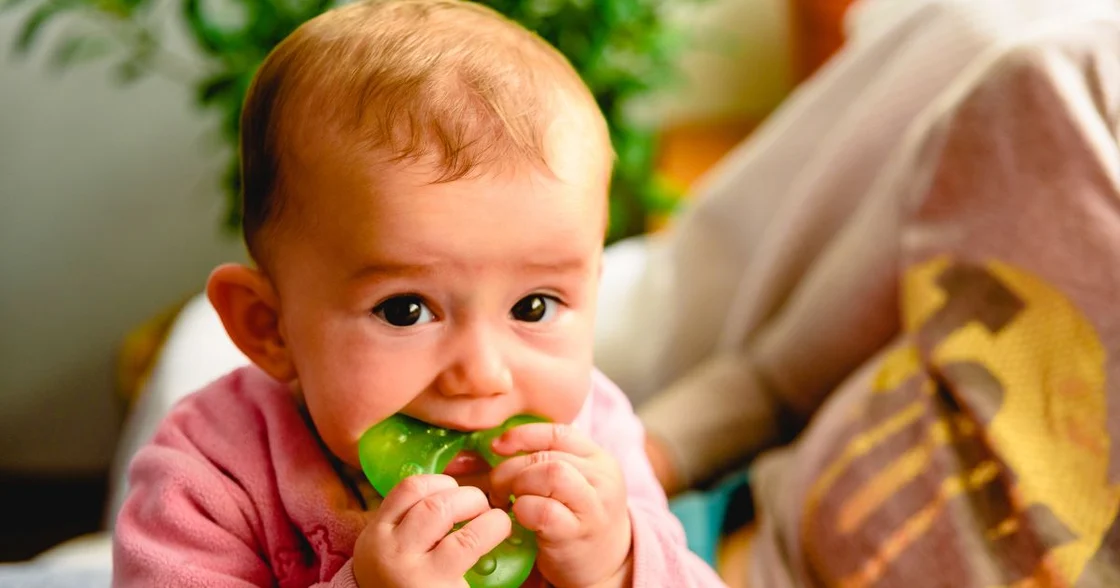 Bite-Sized Advice: Effective Ways to Handle Toddler Biting - Excelled ...